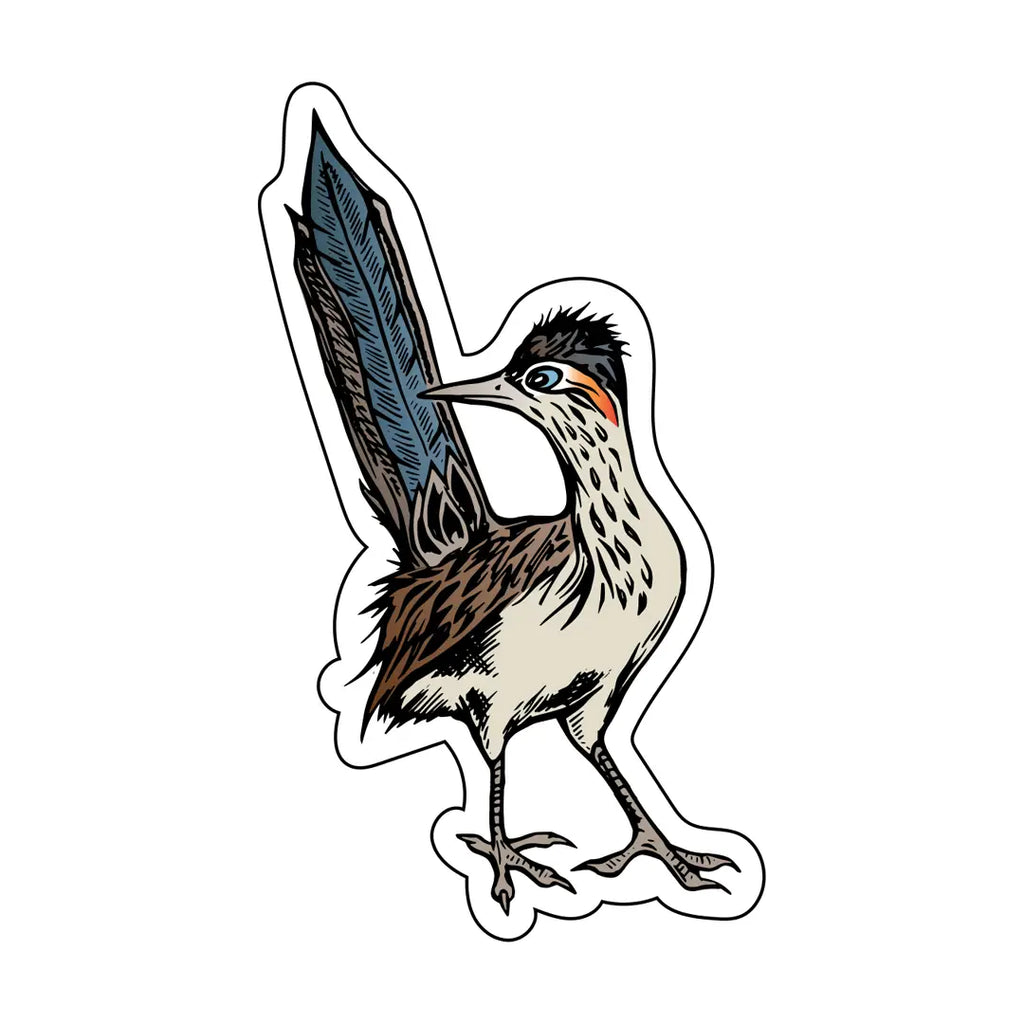 ROADRUNNER STICKER – New Nuevo