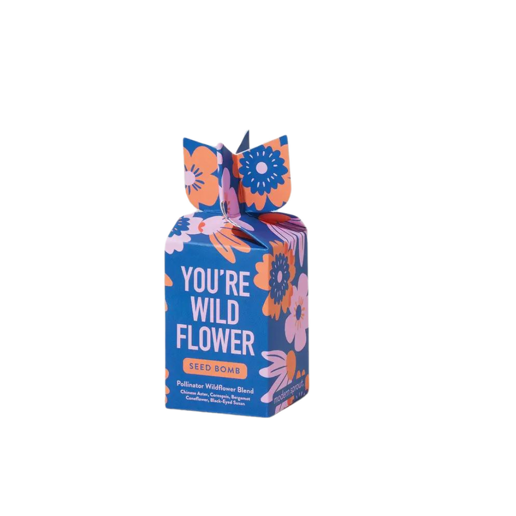 MODERN SPROUT SEED BOMB WILDFLOWER – New Nuevo